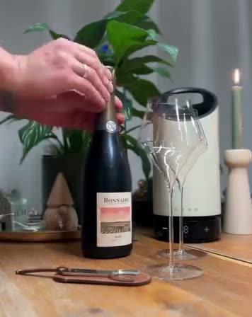Champagne Bonnaire · The Champagne Guy