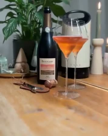 Champagne Bonnaire · The Champagne Guy